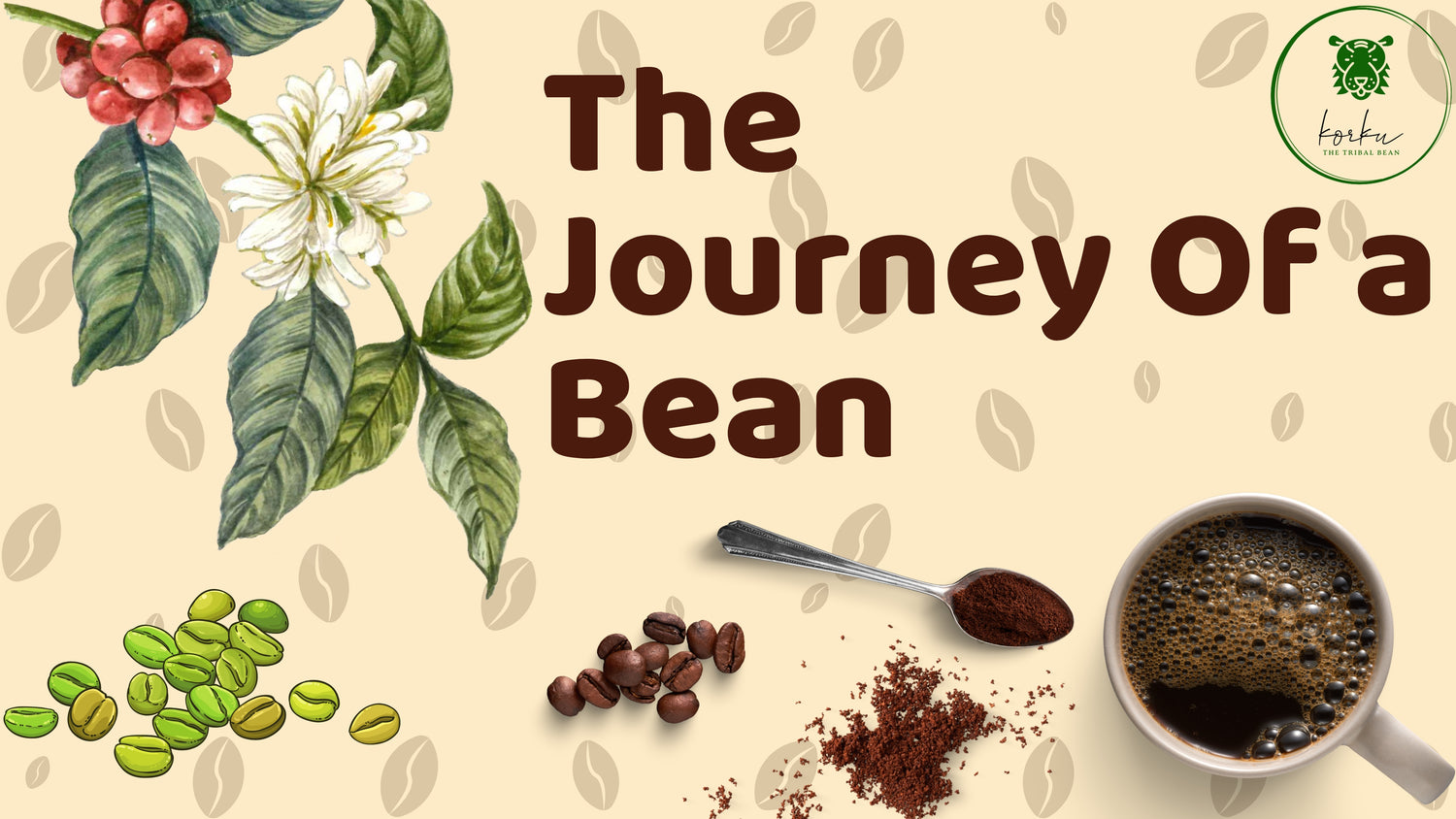 The Journey Of A Bean – KorkuCoffee
